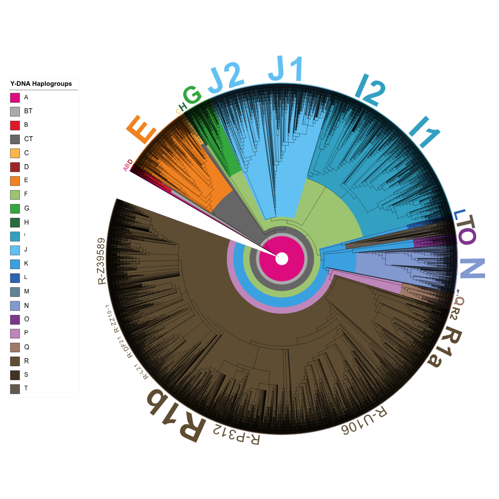 Big Y 700 The Forefront Of Y Chromosome Testing FamilyTreeDNA Blog Big Y 700 The Forefront Of Y Chromosome Testing FamilyTreeDNA Blog