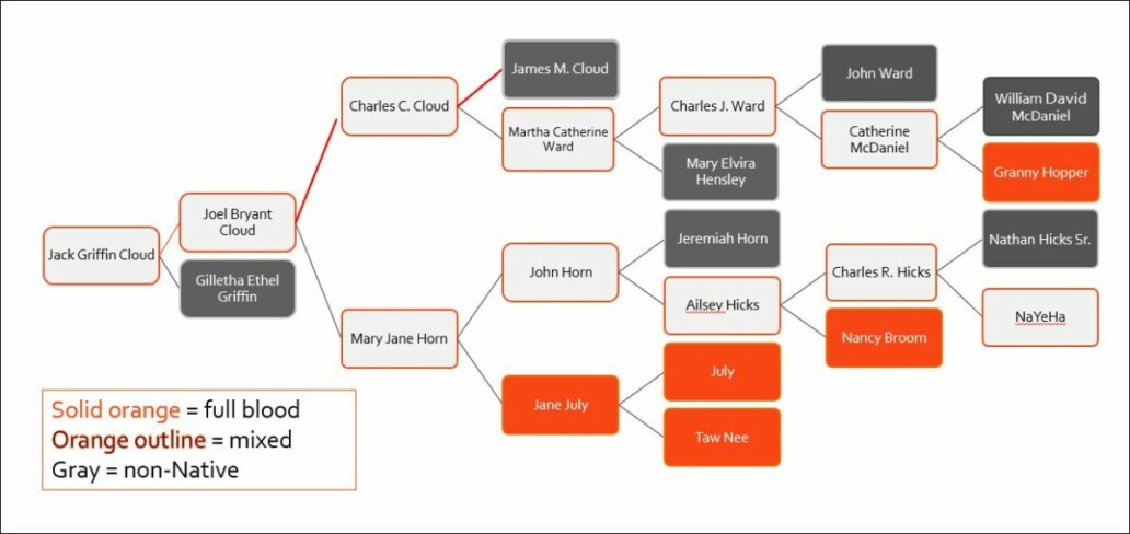 How to Use DNA Testing to Uncover Your Native American Ancestry ...