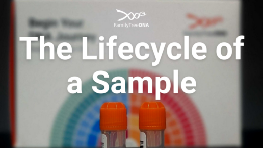 FamilyTreeDNA Blog - Customer Stories - News - Genealogy Tips