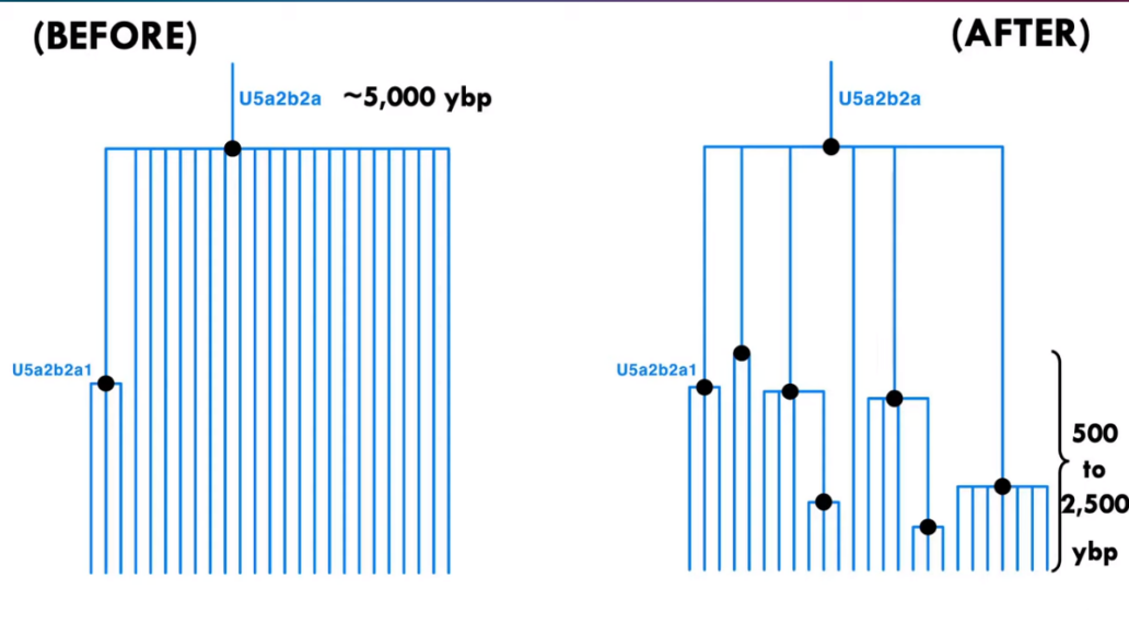 Genealogy's Secret Weapon: How Using mtDNA Can Solve Family Mysteries