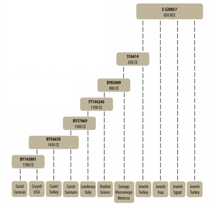 The Resilient Sephardic Jewish Legacy in Hispanic Culture ...