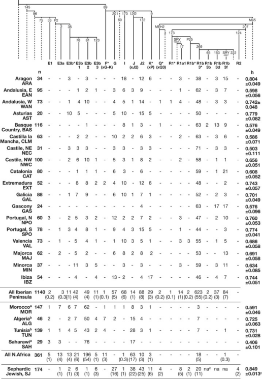 The Resilient Sephardic Jewish Legacy in Hispanic Culture - FamilyTreeDNA Blog