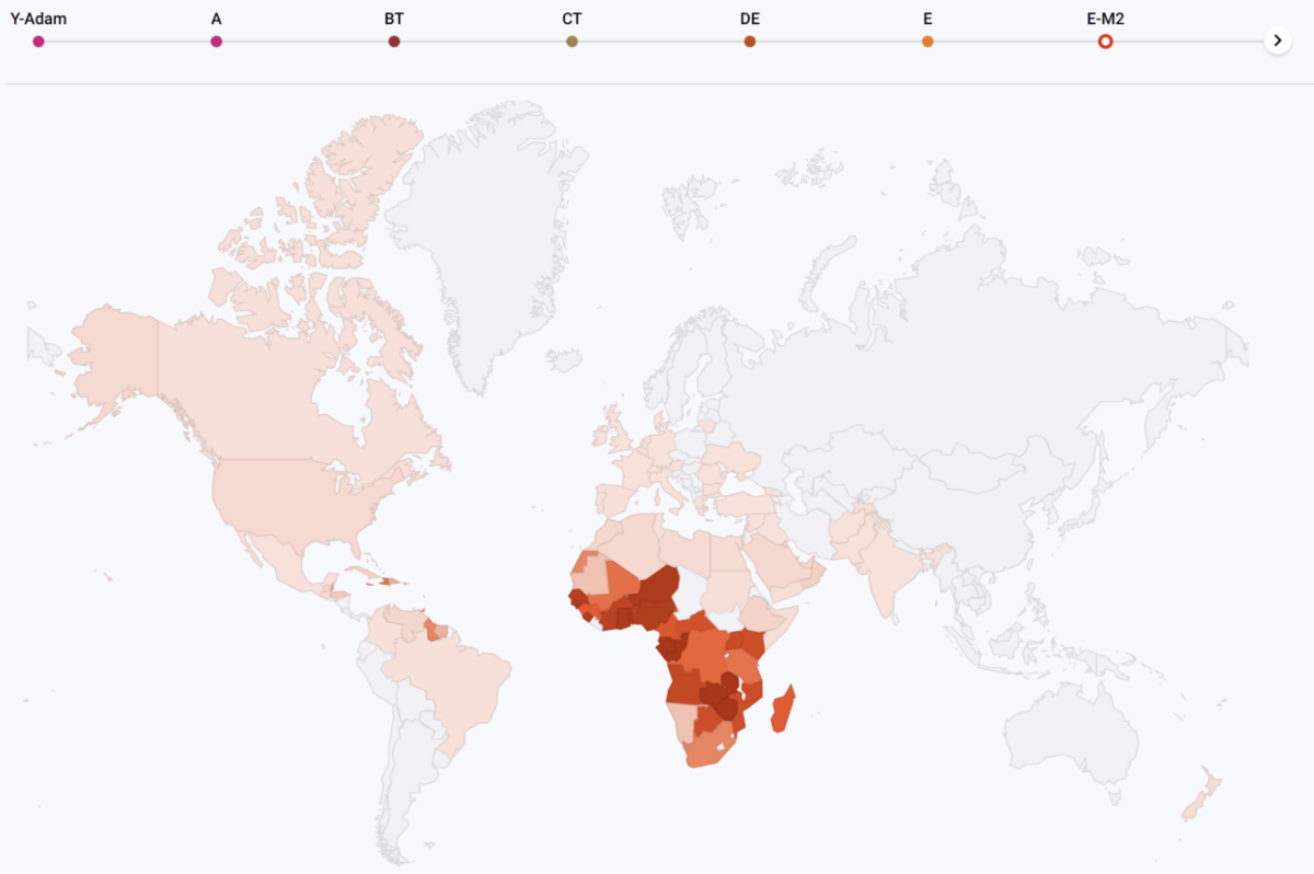 Ancient Lineages: A 49,000-Year-Old Branch Split in Y-DNA Haplogroup E ...