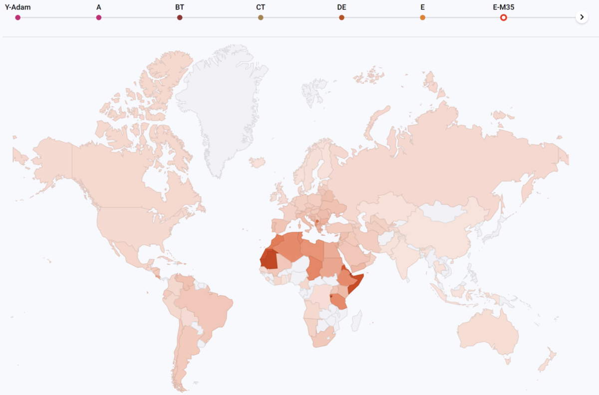 Ancient Lineages: A 49,000-Year-Old Branch Split in Y-DNA Haplogroup E ...