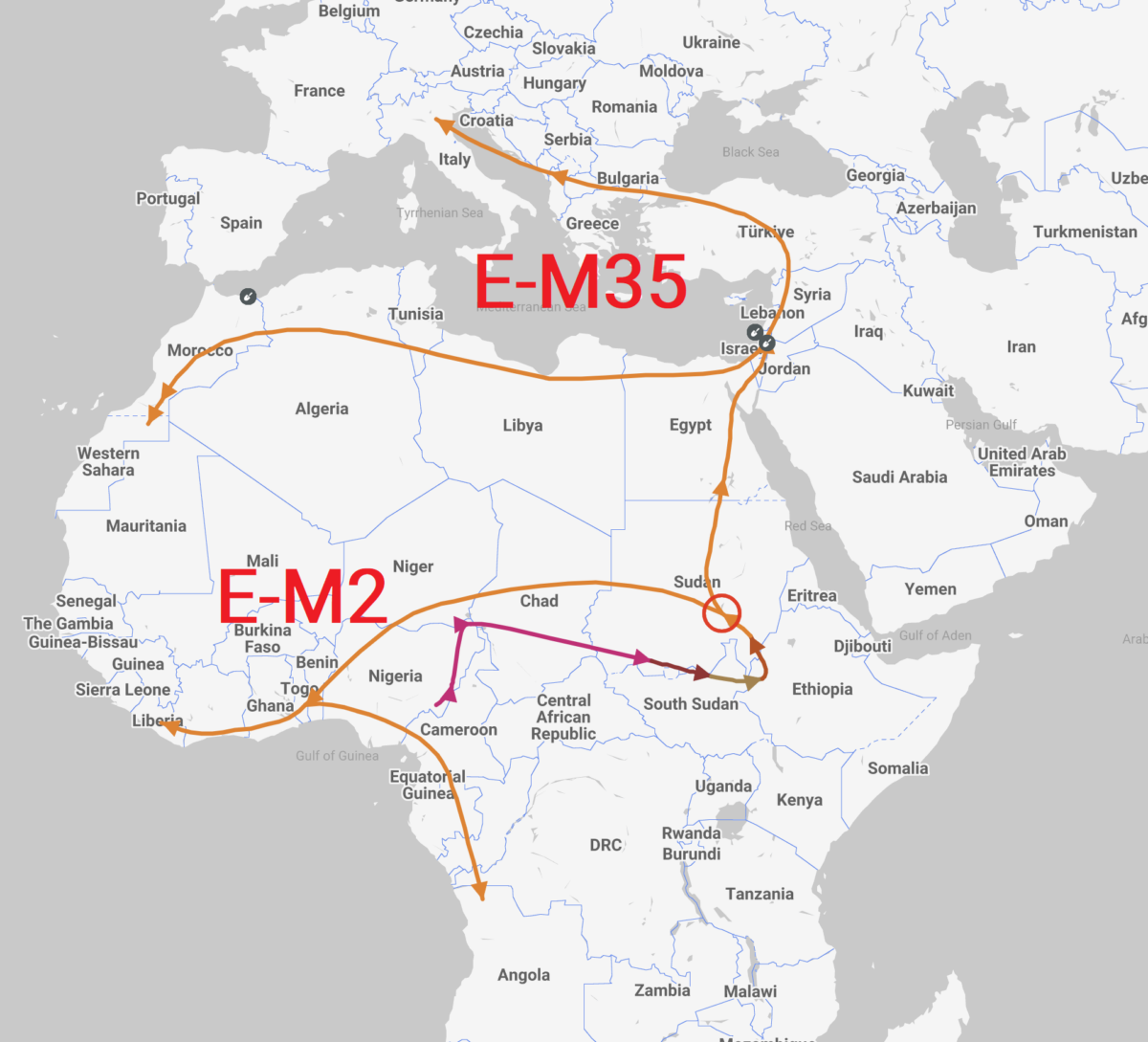 Ancient Lineages: A 49,000-Year-Old Branch Split in Y-DNA Haplogroup E Confirmed 15 Years After ...