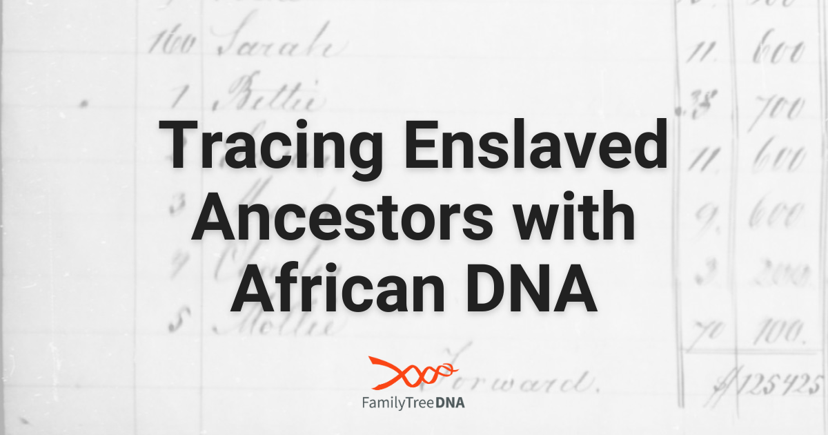 FamilyTreeDNA Blog - Customer Stories - News - Genealogy Tips