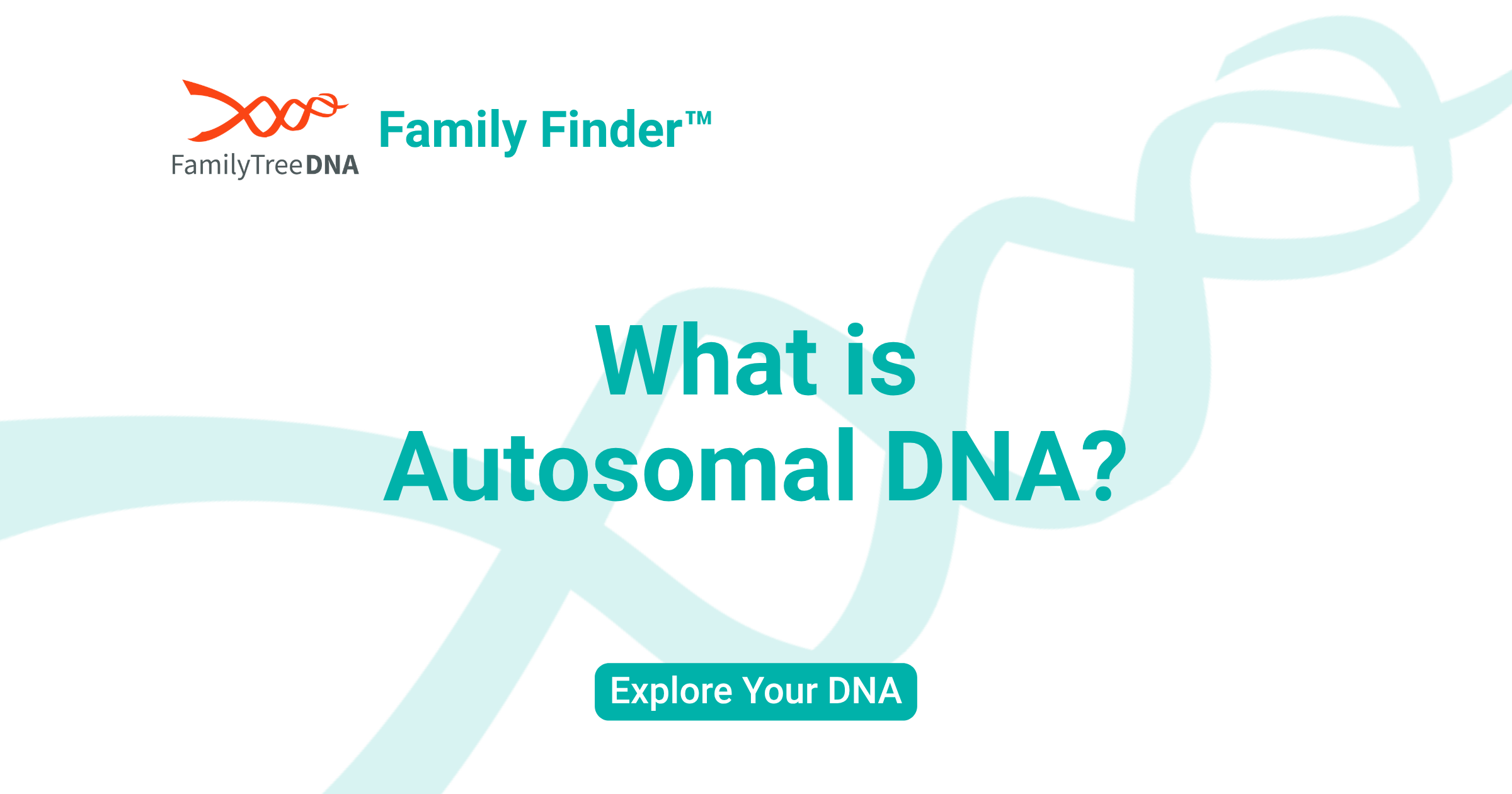 What is Autosomal DNA? Beginner Guide to DNA Inheritance