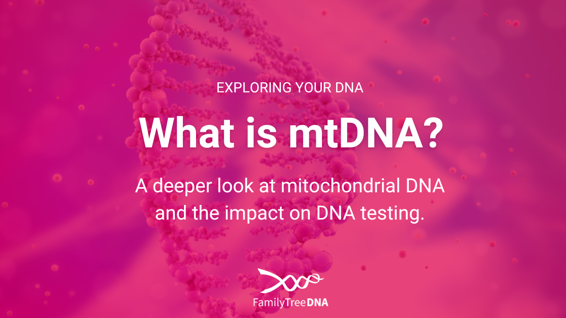 FamilyTreeDNA Blog - Customer Stories - News - Genealogy Tips