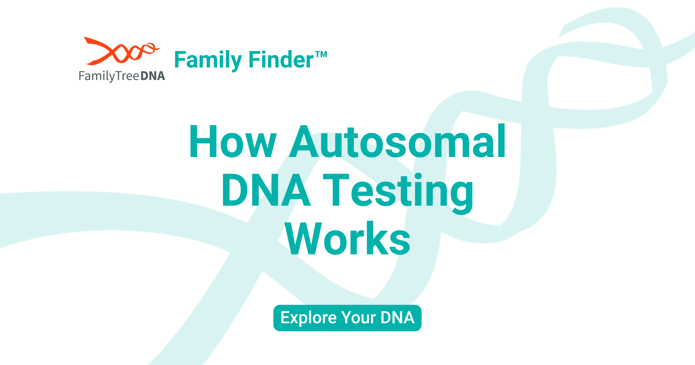 How Autosomal DNA Testing Works - FamilyTreeDNA Blog