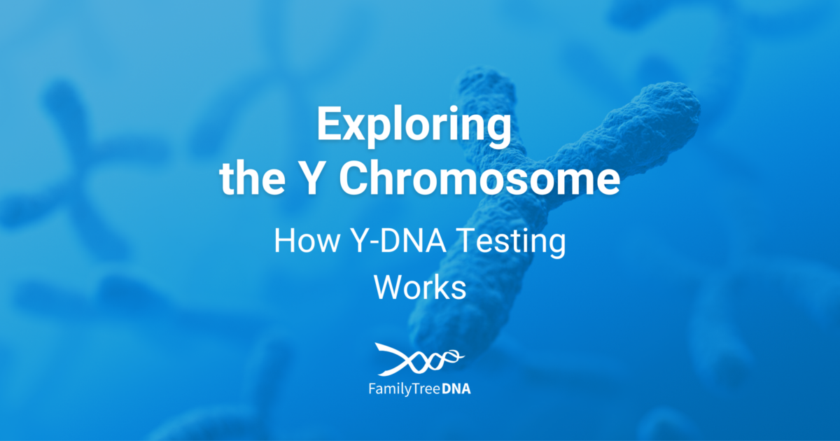 How Y-DNA Testing Works - FamilyTreeDNA Blog
