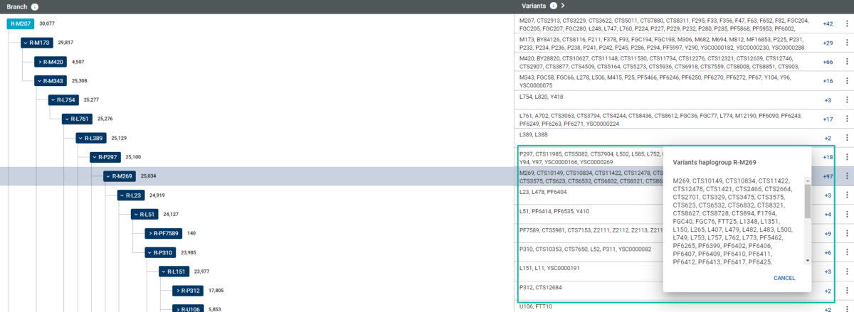 Interpreting Y-DNA Test Results: Haplogroups - FamilyTreeDNA Blog