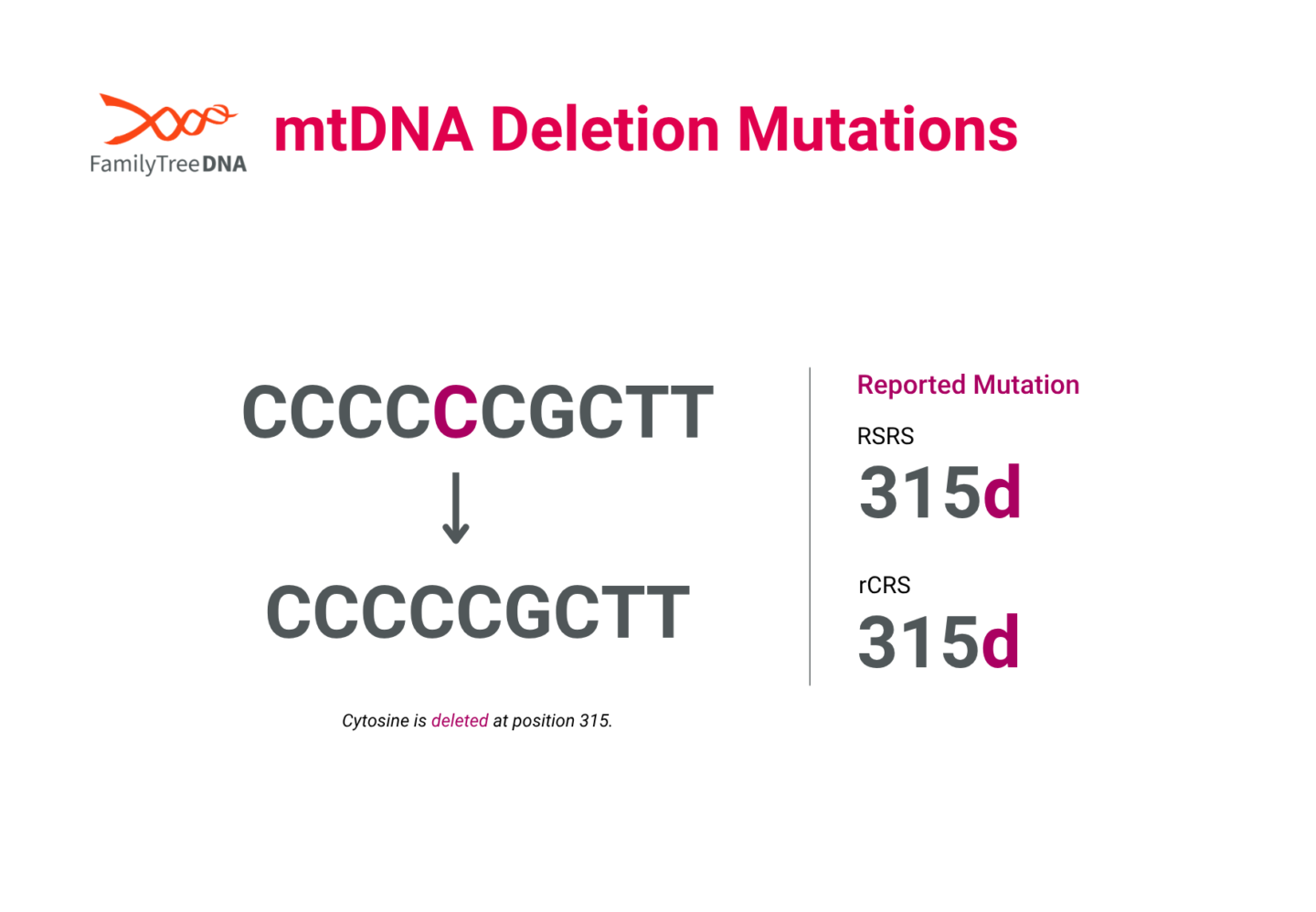 Understanding mtDNA Haplogroups and Your Results