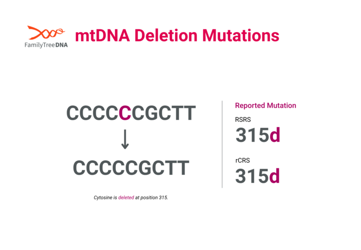 Understanding mtDNA Haplogroups and Your Results