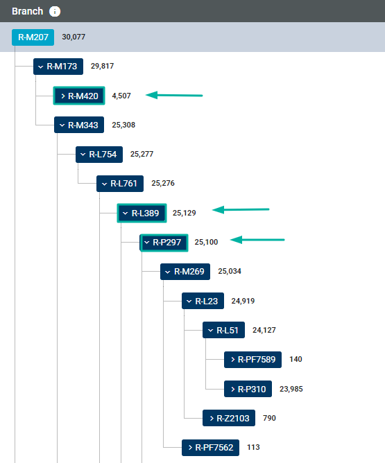Interpreting Y-DNA Test Results: Haplogroups - FamilyTreeDNA Blog