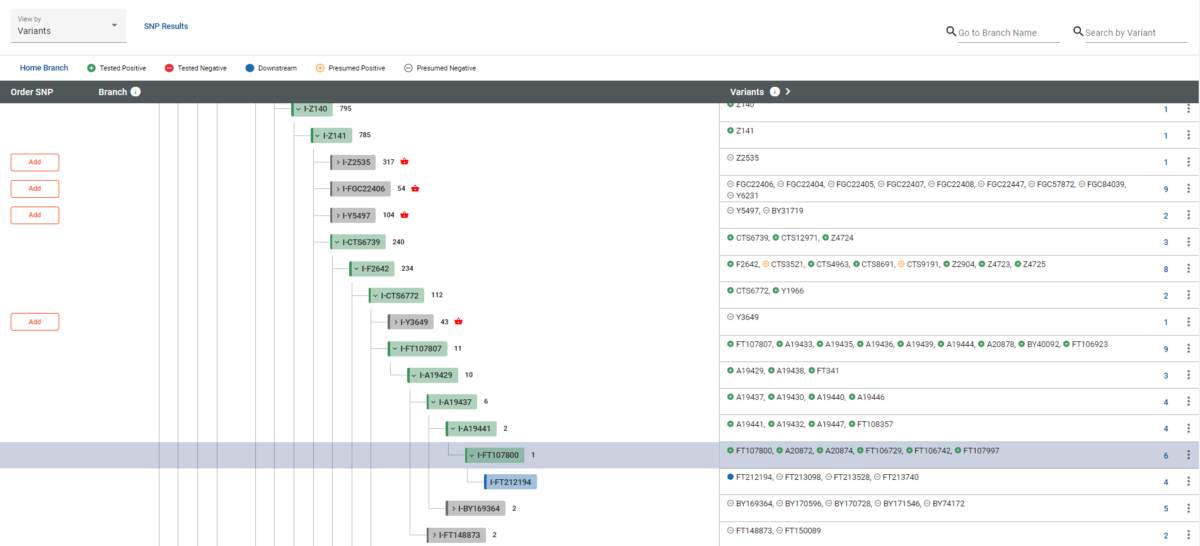 Interpreting Y-DNA Test Results: Haplogroups - FamilyTreeDNA Blog