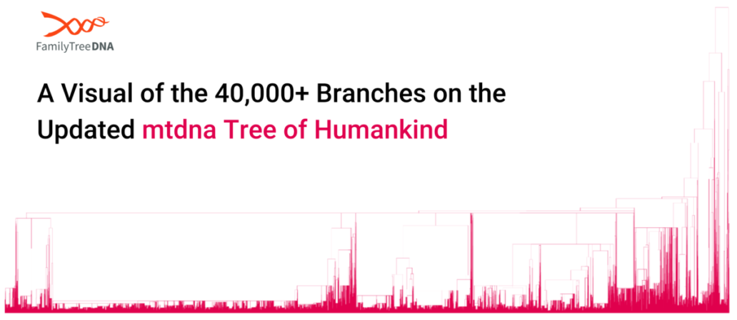 Understanding mtDNA Haplogroups and Your Results