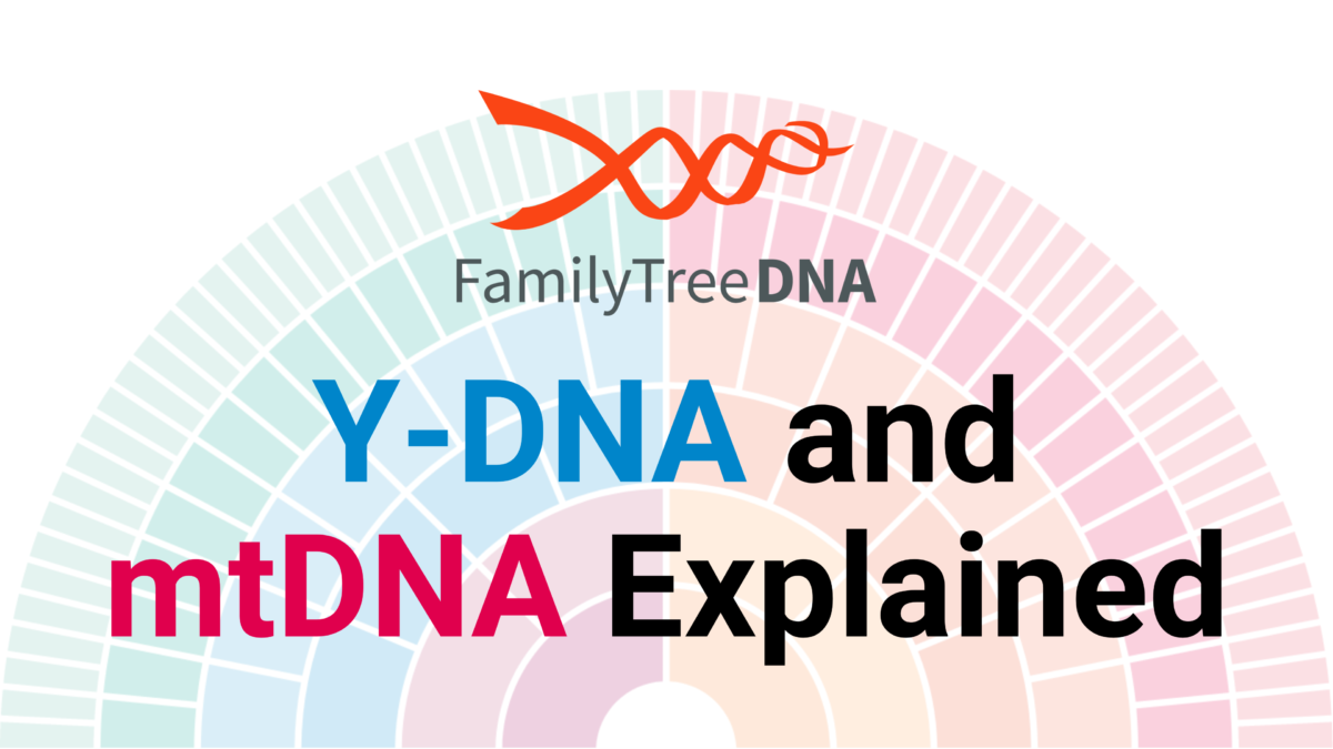 RootsTech 2025 Virtual: Discover, Connect, and Grow-Virtually ...