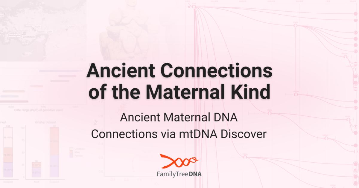 Ancient Maternal DNA Connections via mtDNA Discover