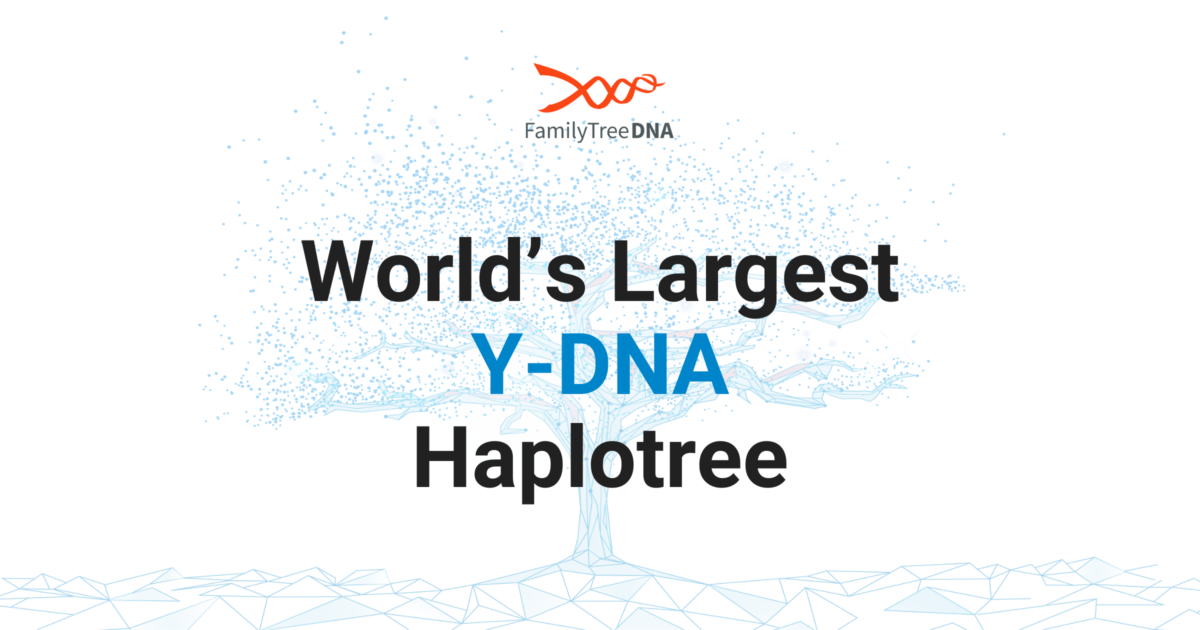 The World’s Largest Y-DNA Haplotree - FamilyTreeDNA Blog