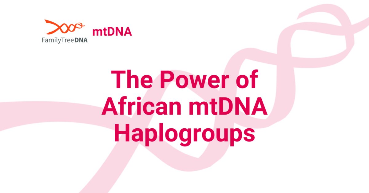 The Power of African mtDNA Haplogroups - FamilyTreeDNA Blog