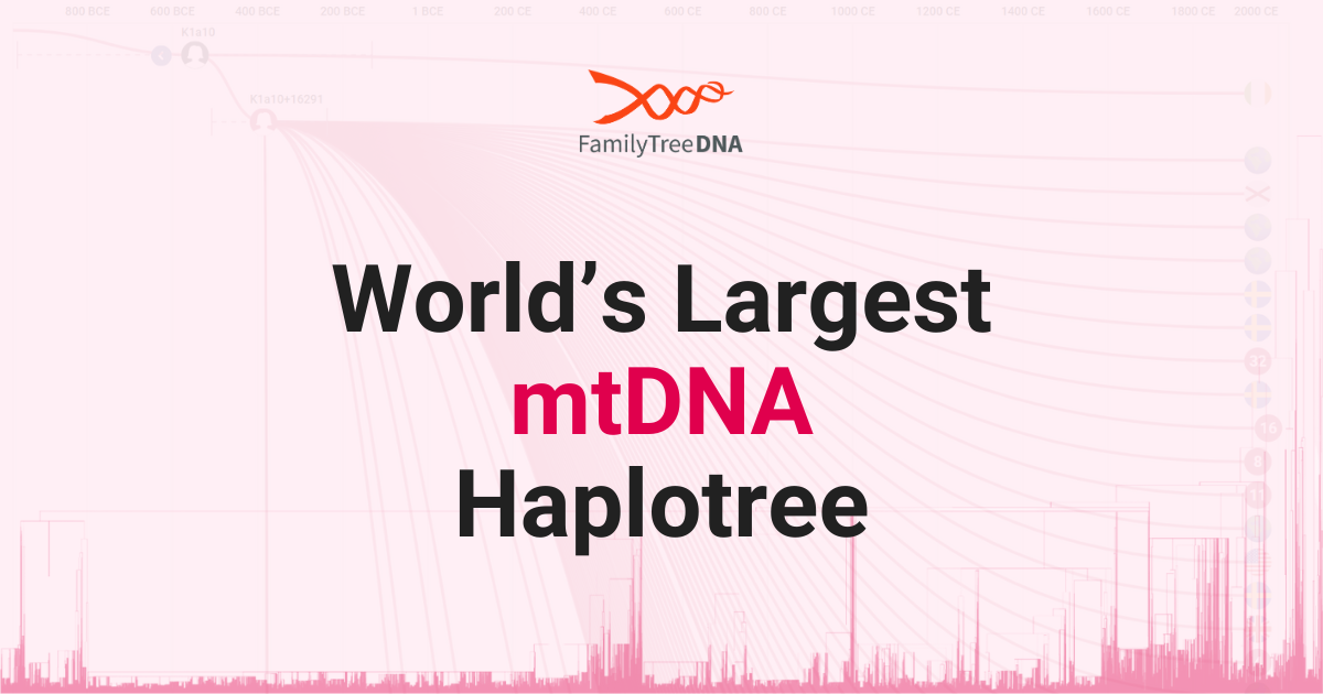 12,700+ New mtDNA Haplogroups Added to the Updated mtDNA Tree of ...