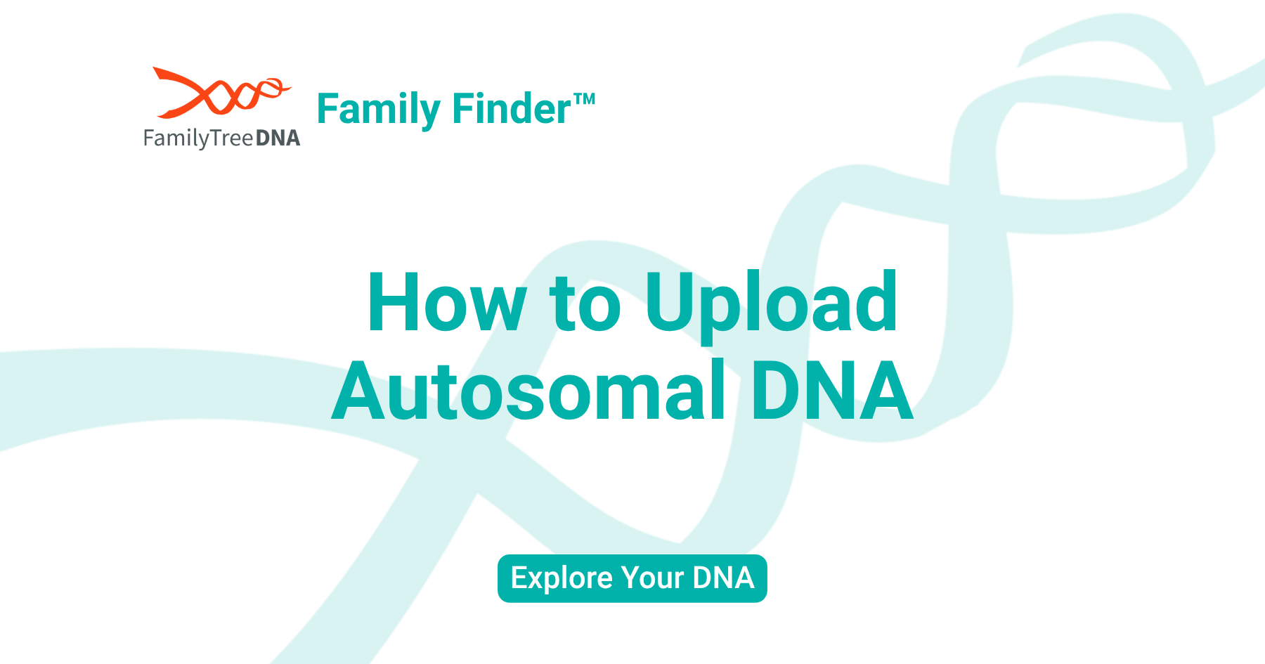 How to Upload Autosomal DNA to FamilyTreeDNA